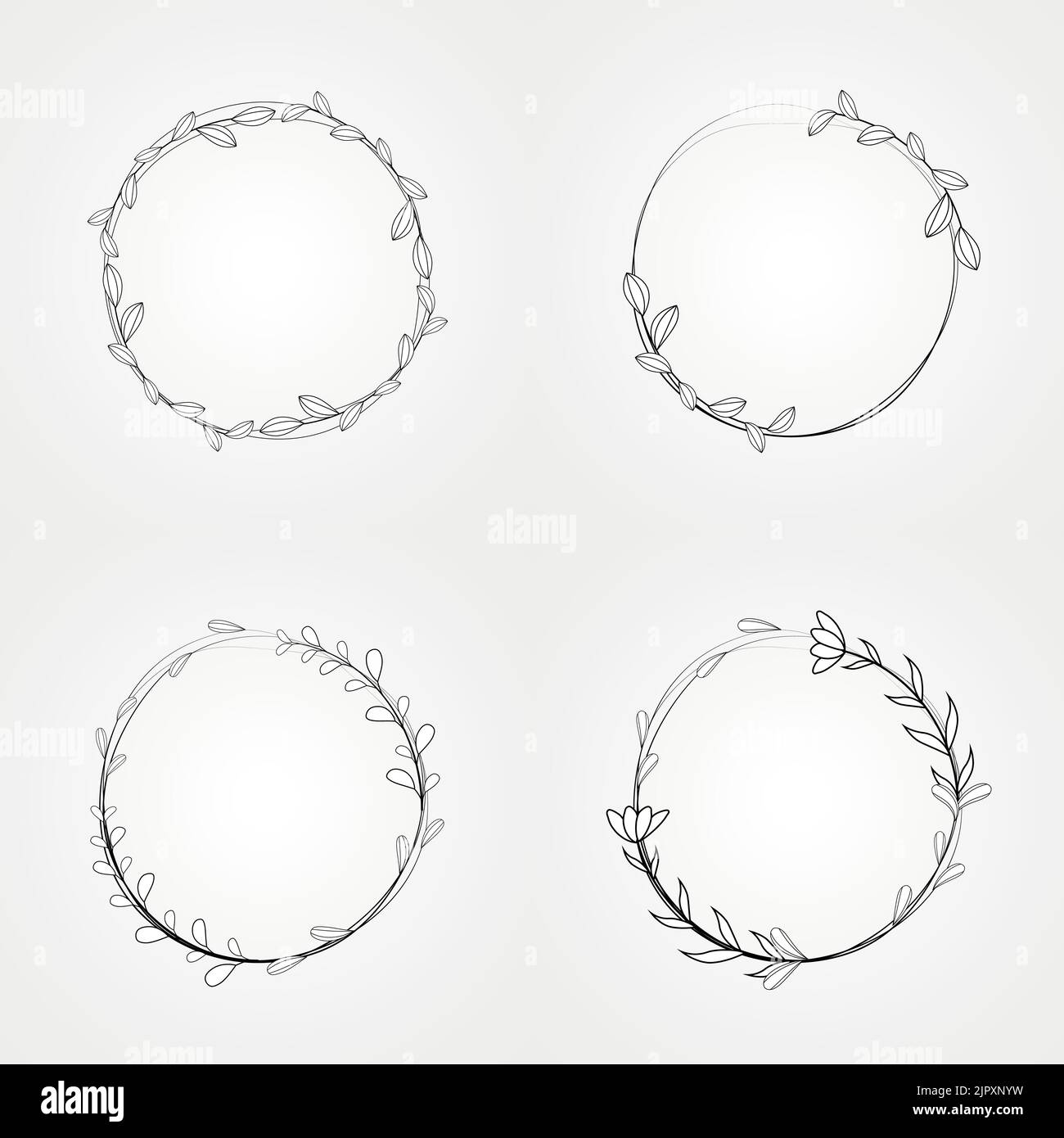 botanical frame floral vector design Stock Vector Image & Art - Alamy