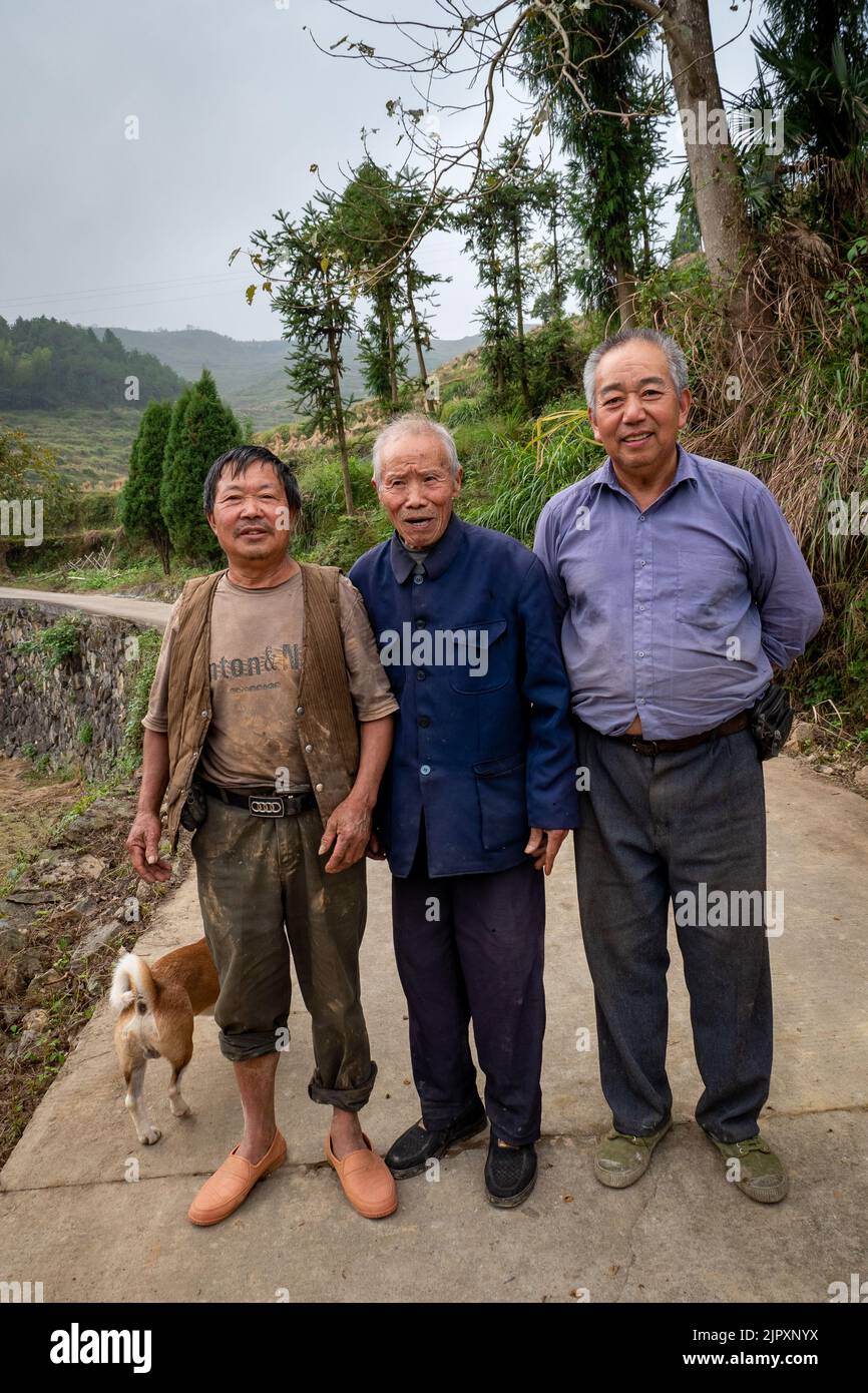 Terraced rice paddy fields provide a scenic agricultural beauty in ...
