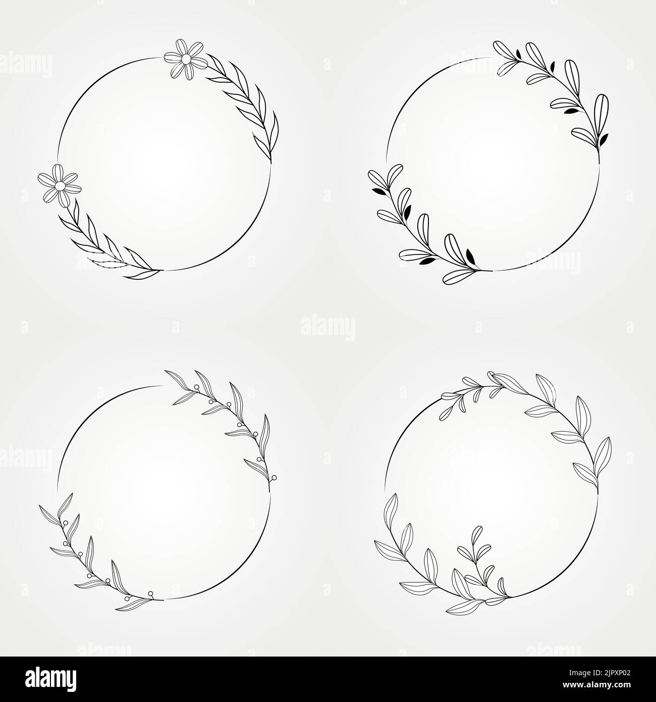 circle frame botanical frame vector design Stock Vector Image & Art - Alamy