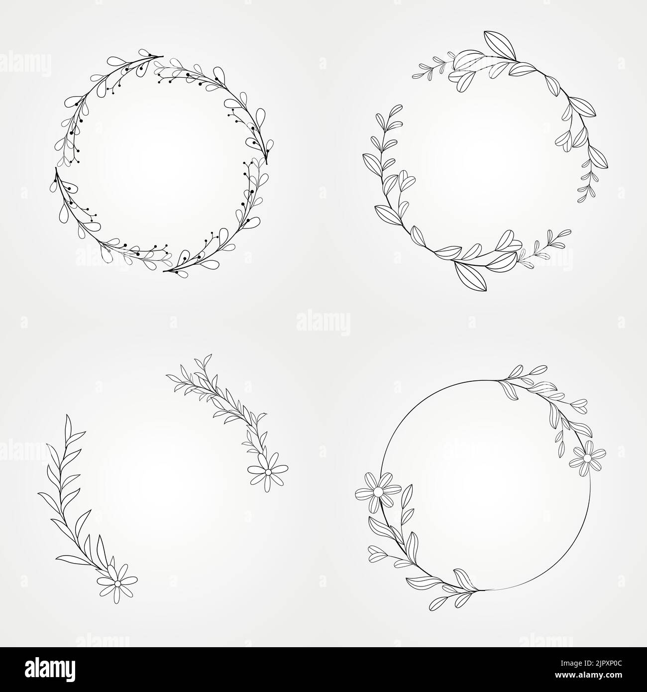 floral set botanical frame wreath illustration vector design best for ...