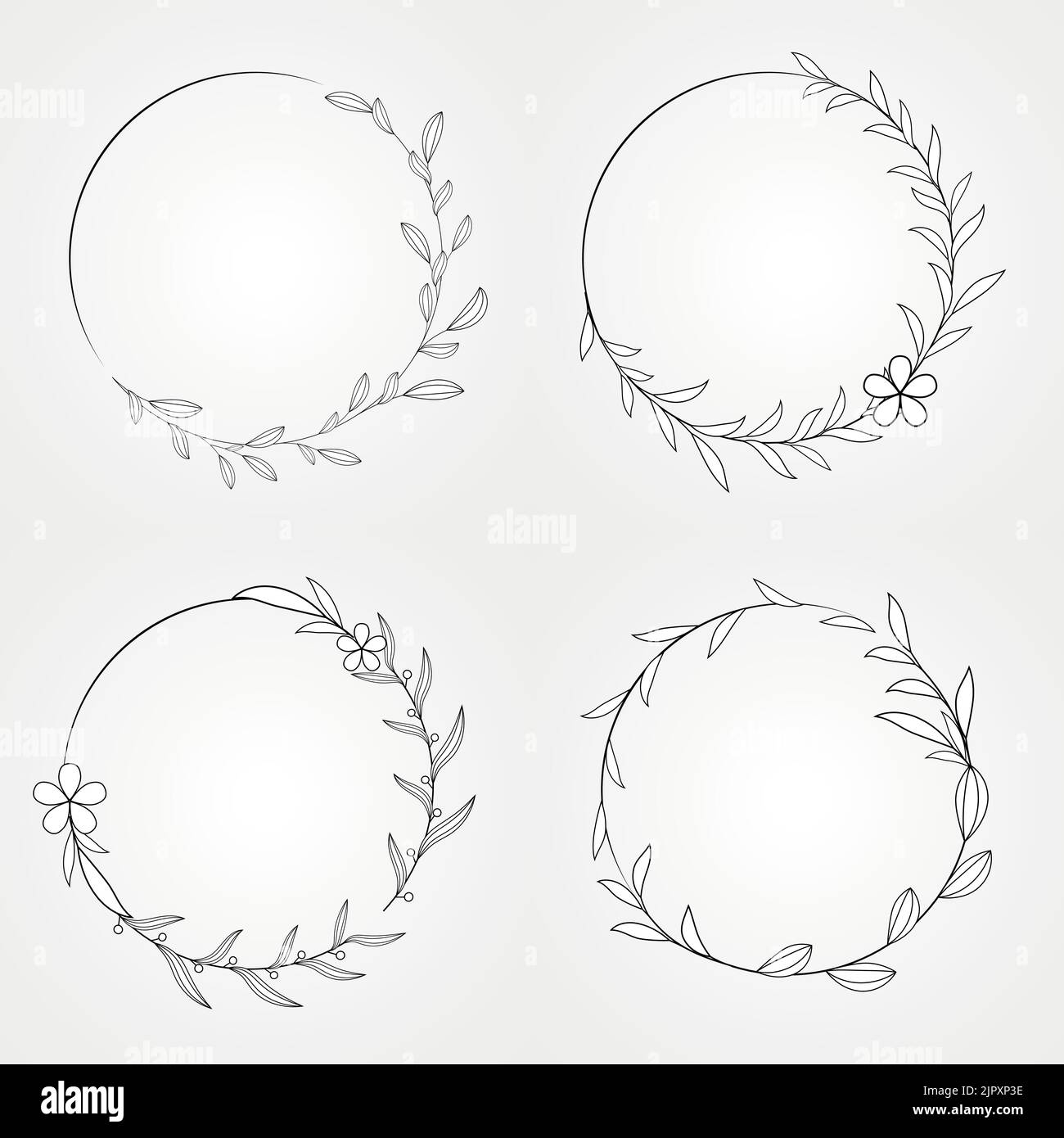 floral frame botanical circle design Stock Vector Image & Art - Alamy