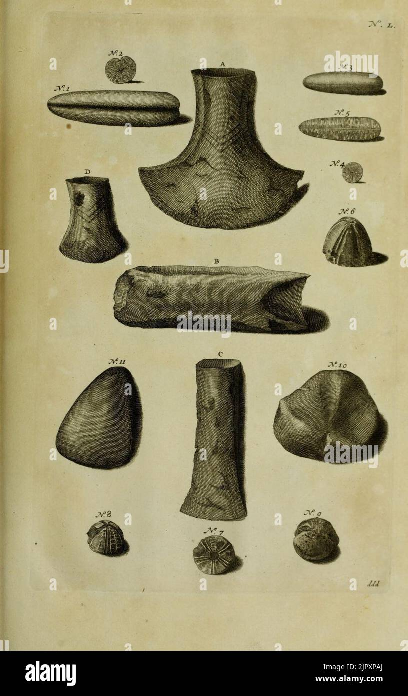 Testaceorum hi-res stock photography and images - Alamy