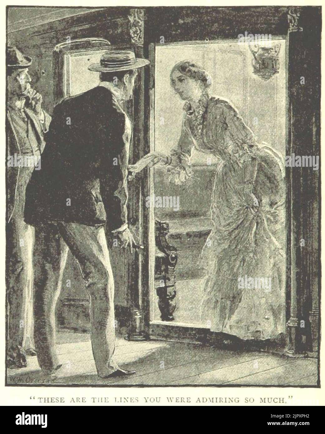 These are the lines you were admiring so much-illustration by wh ...