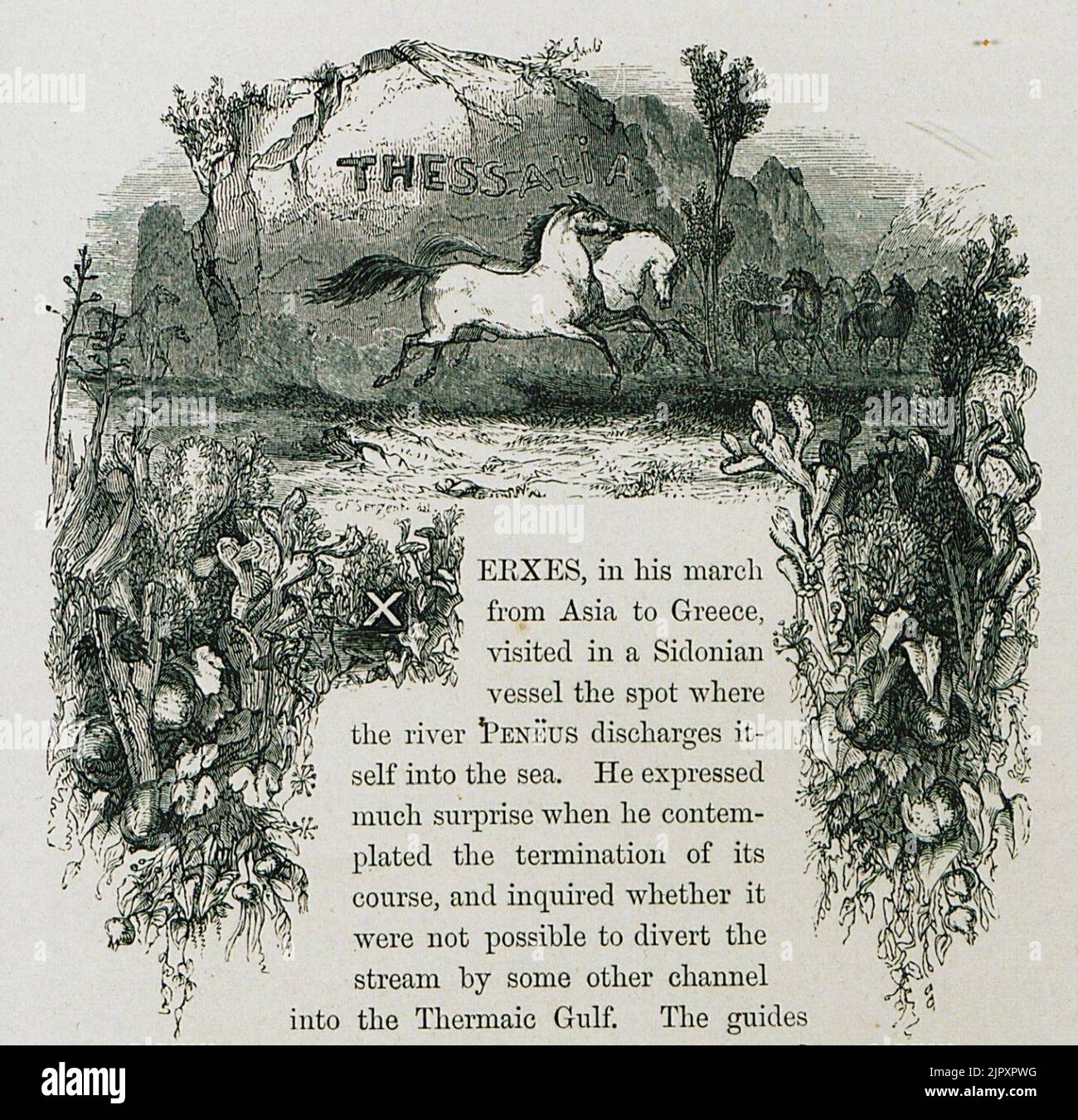 Thessalian hi-res stock photography and images - Alamy