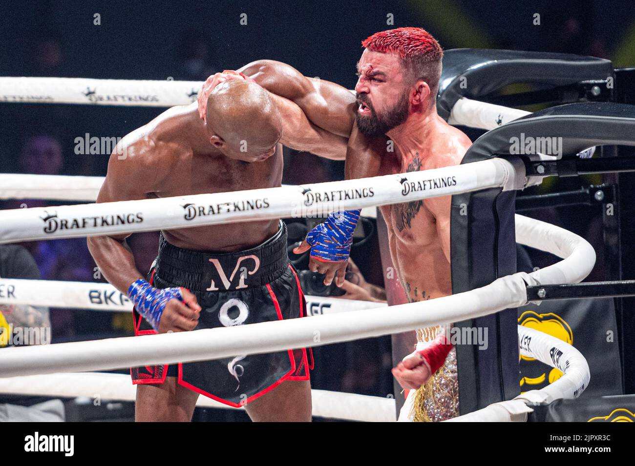Bkfc boxing hi-res stock photography and images - Alamy