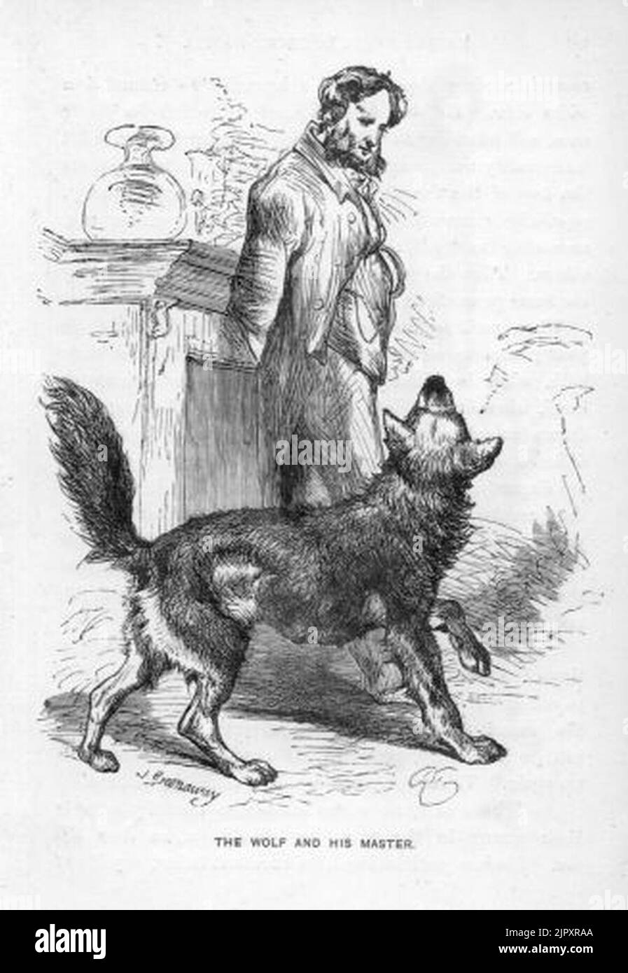 Master wolf hi-res stock photography and images - Alamy