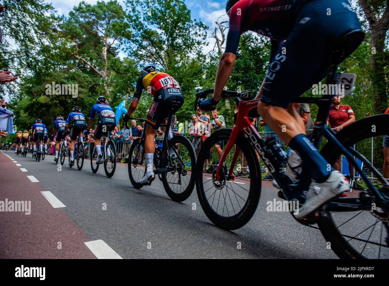 A view of the cyclists from behind. The peloton set off from 's ...