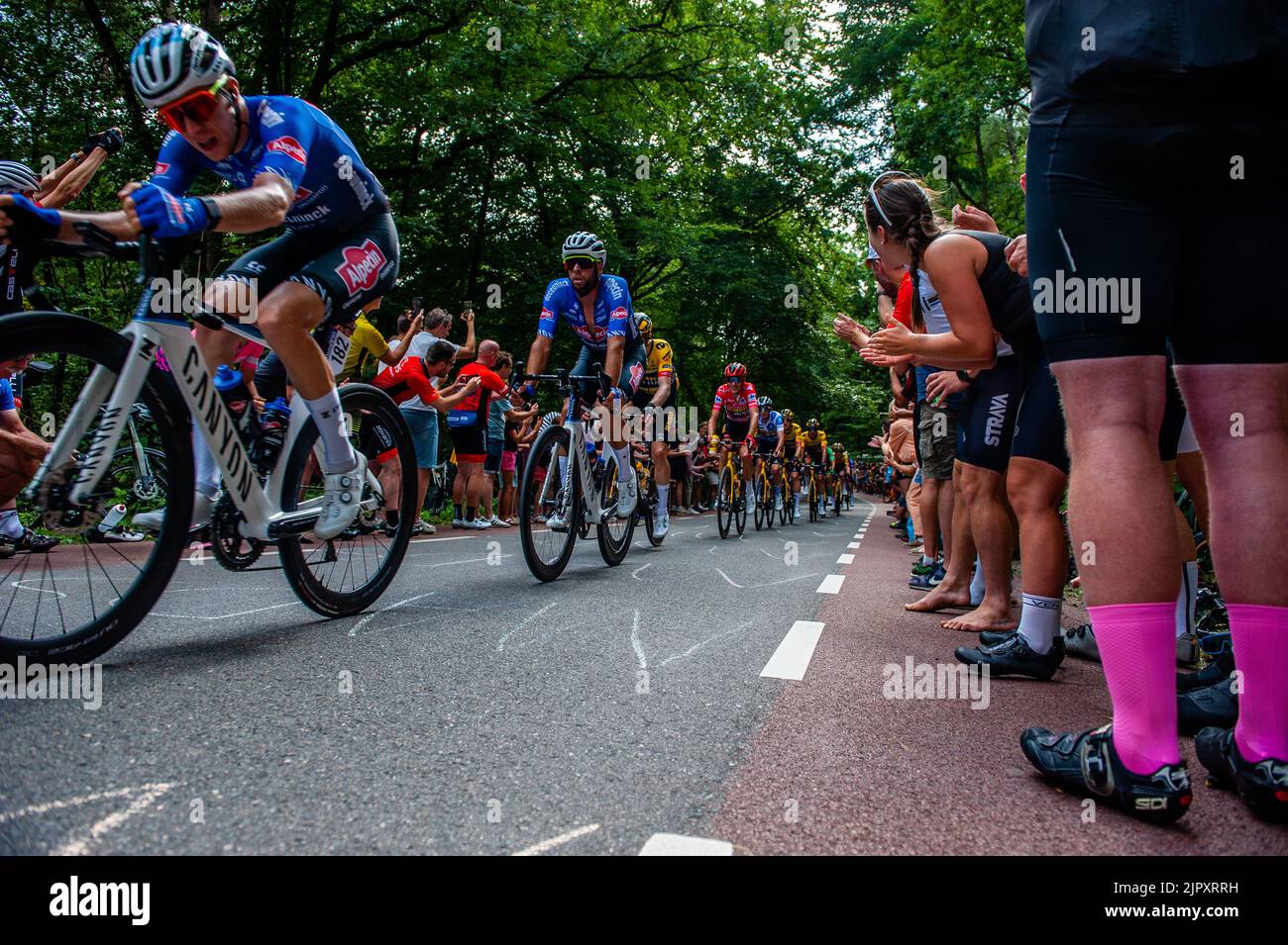 The peloton is seen passing by a high velocity. The peloton set off ...