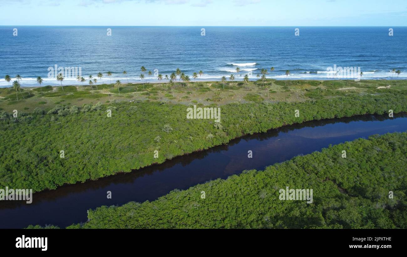 An aerial view of river surrounded by dense green trees on the ...