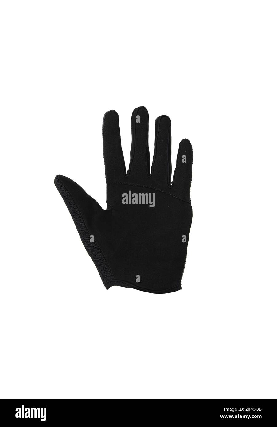 Sports glove made of leather and synthetic material. Isolate on a white ...