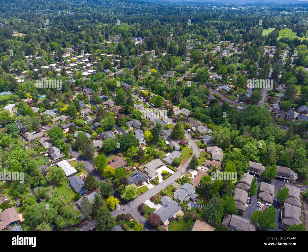 Aerial view of a provincial green town, immersed in greenery, located ...