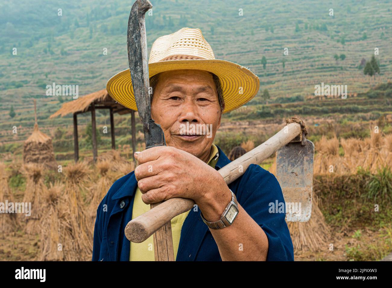 Terraced rice paddy fields provide a scenic agricultural beauty in ...
