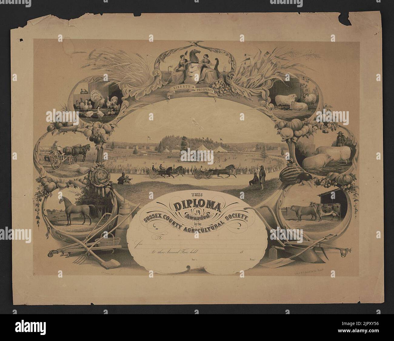 This diploma is awarded by the Sussex County Agricultural Society - Js ...