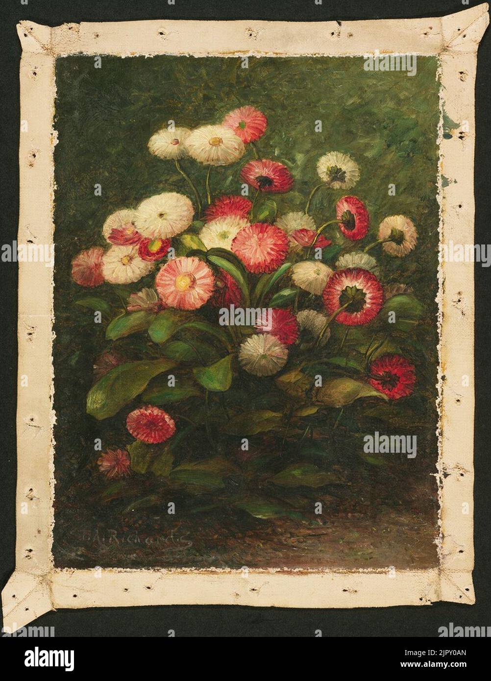 Addison richards hi-res stock photography and images - Alamy