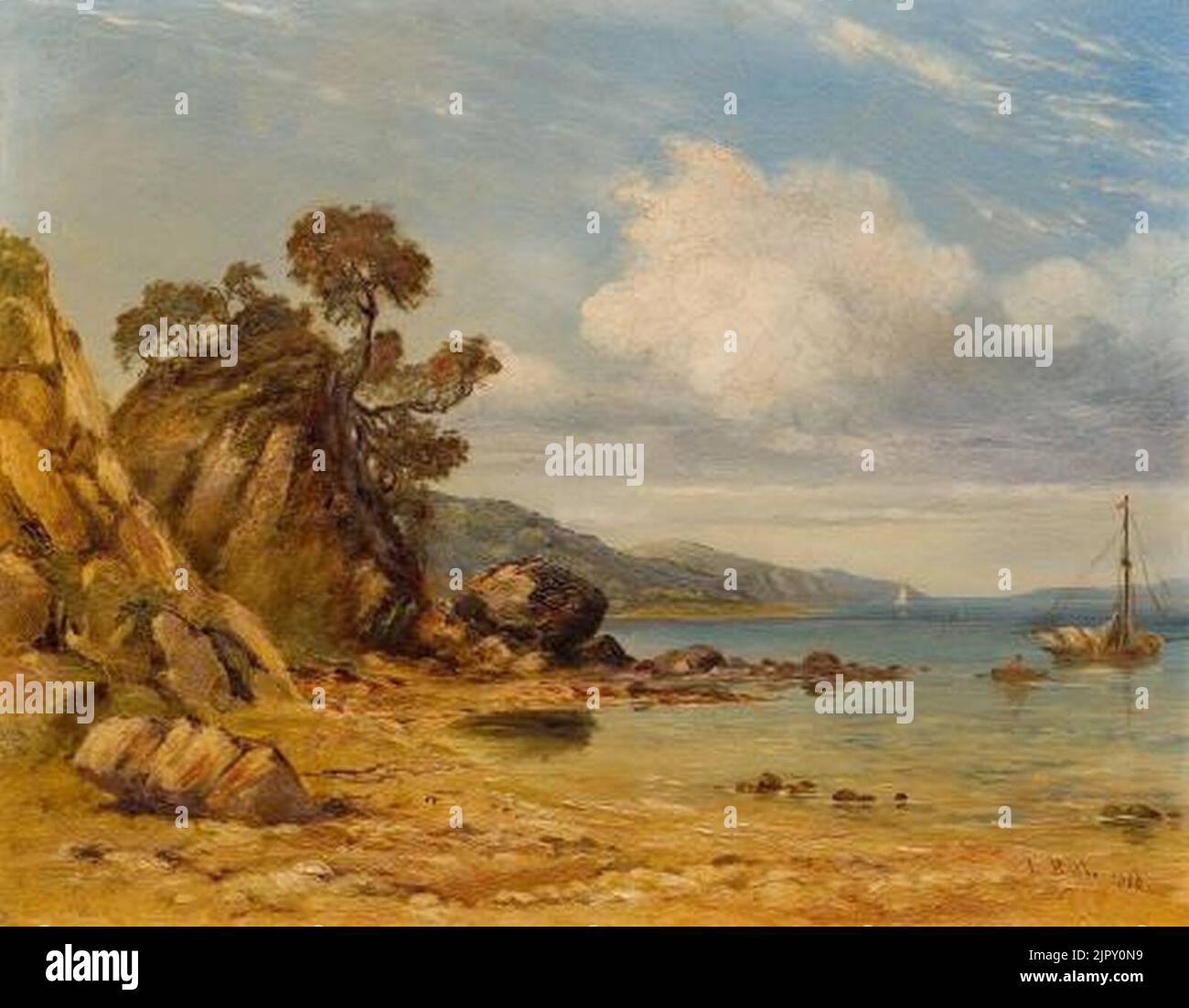 Tararu hi-res stock photography and images - Alamy