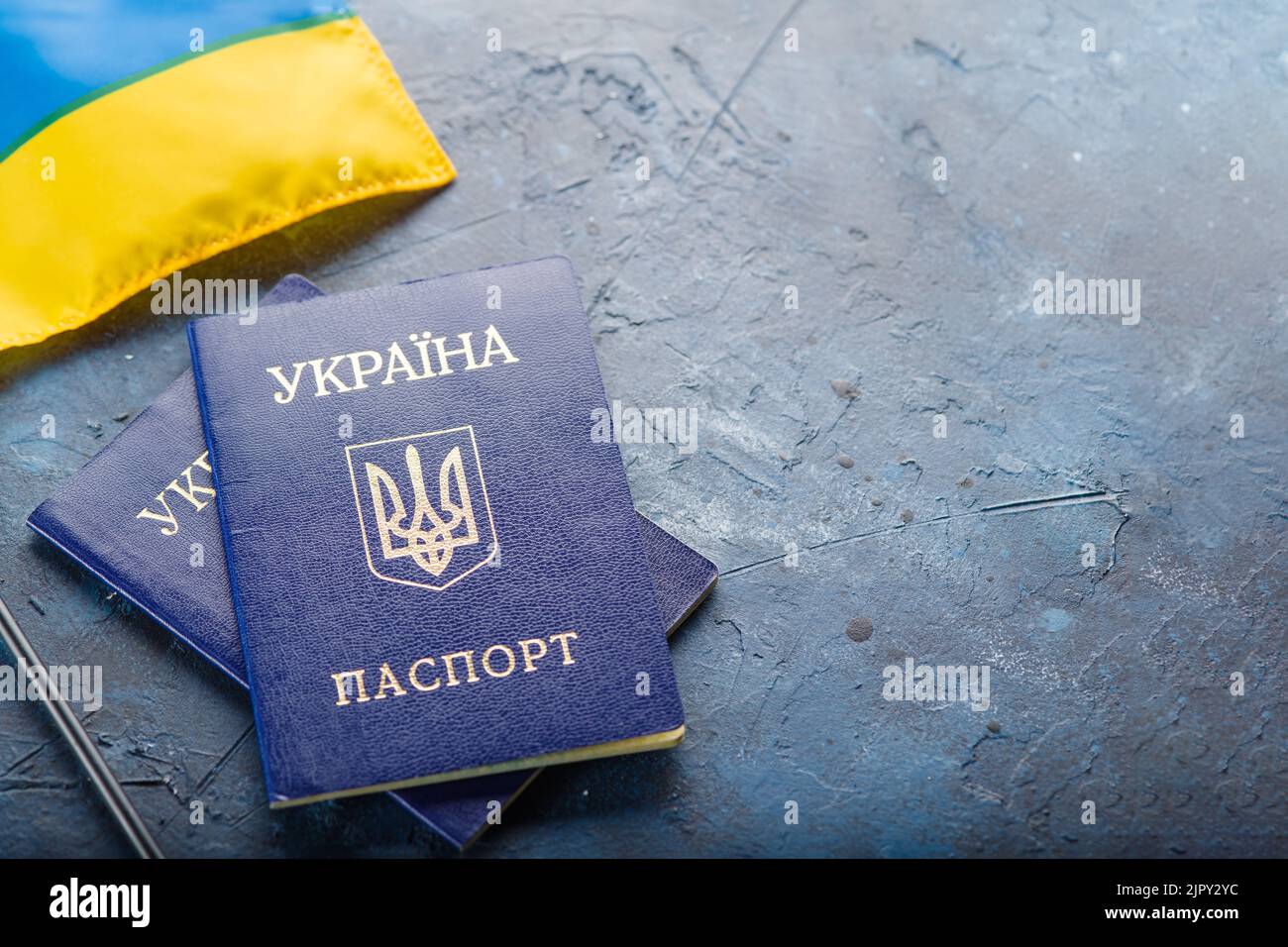 On a dark blue background, the flag of Ukraine and two biometric ...