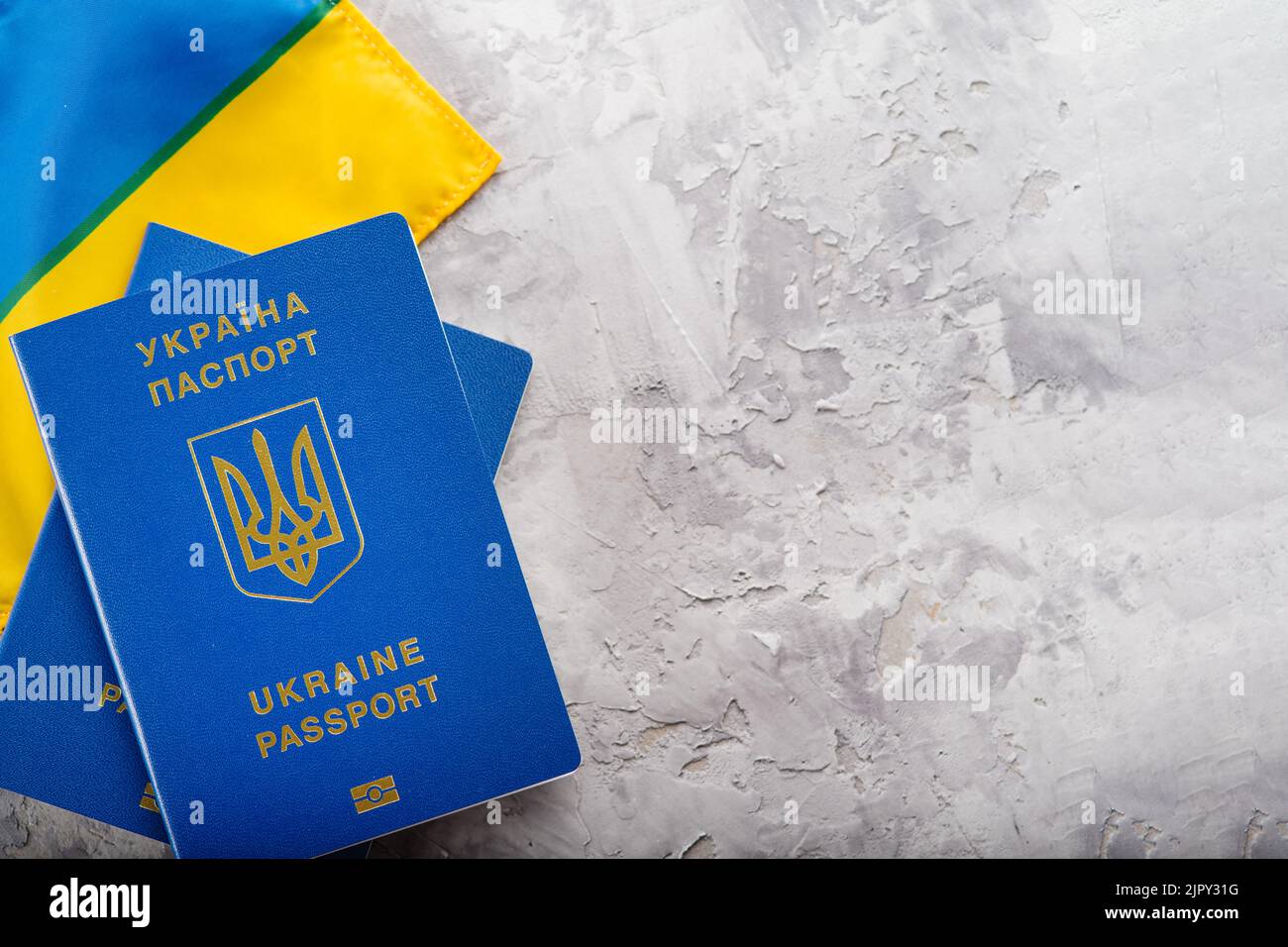 On a light gray background, a Ukrainian yellow-blue flag, two biometric ...