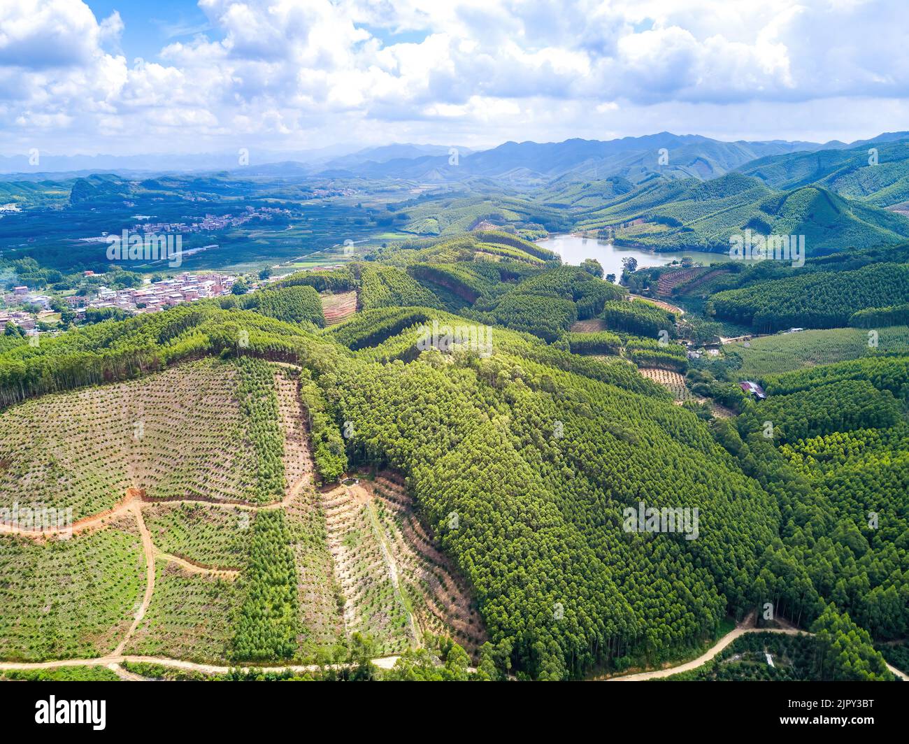 Landscape of green hills forest and blue sky and white clouds on the ...