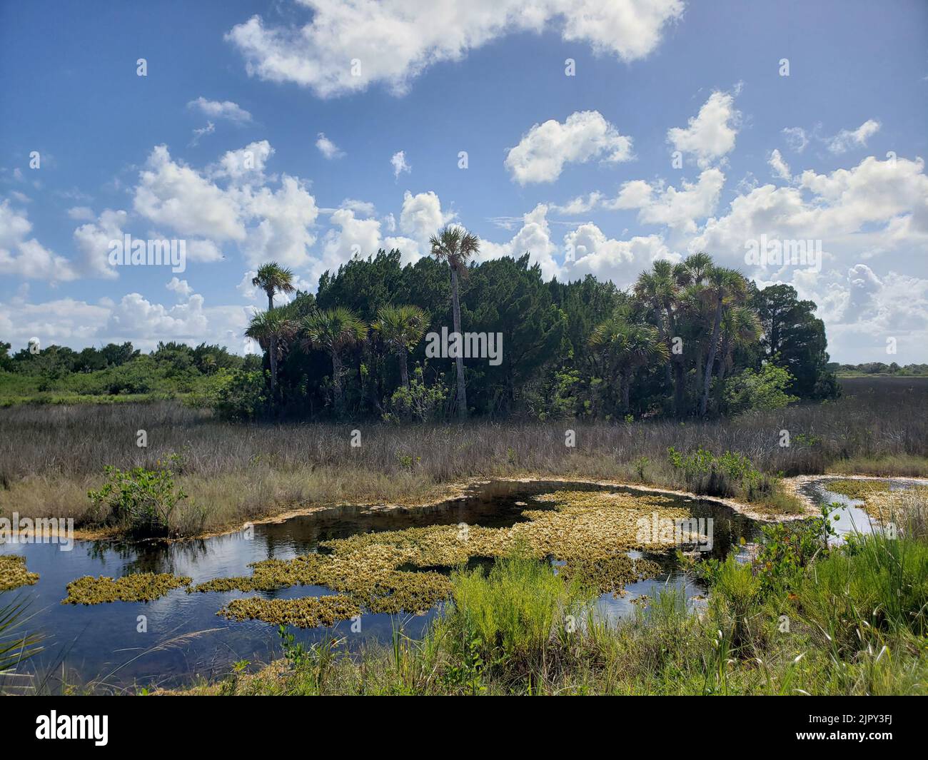 Black Point Wildlife Drive, Merritt Island National Wildlife Refuge ...