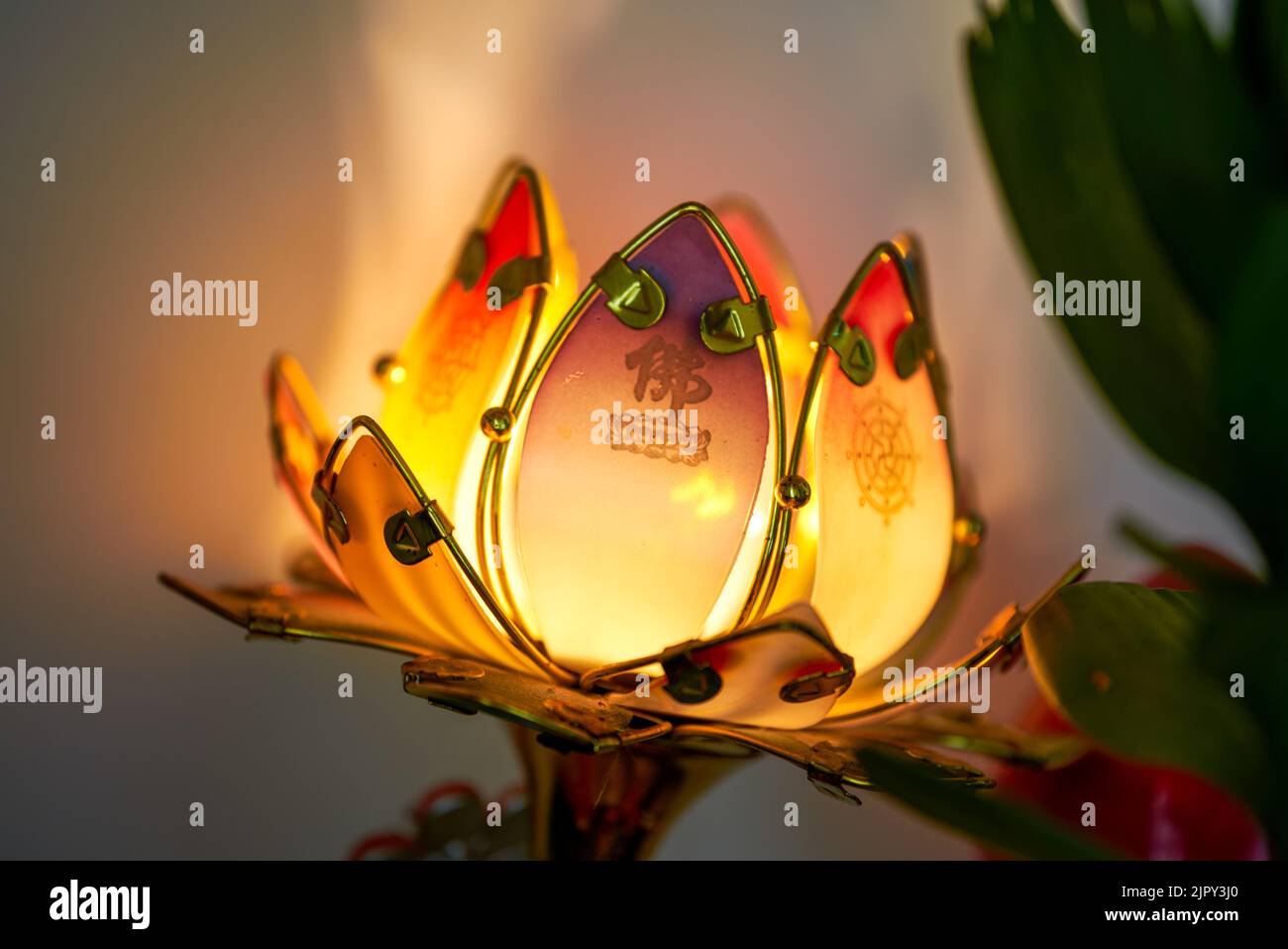 Colorful Buddha lamps used in Buddhist worship, translation: Buddha ...