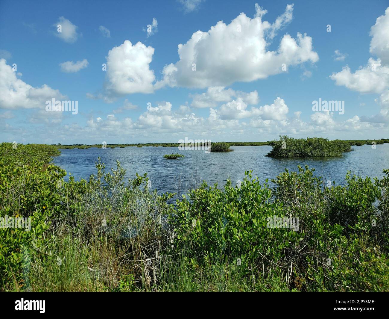 Black Point Wildlife Drive, Merritt Island National Wildlife Refuge ...