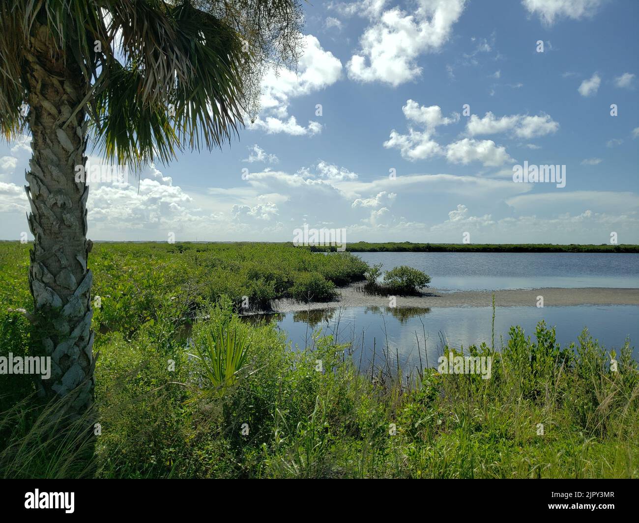 Black Point Wildlife Drive, Merritt Island National Wildlife Refuge ...