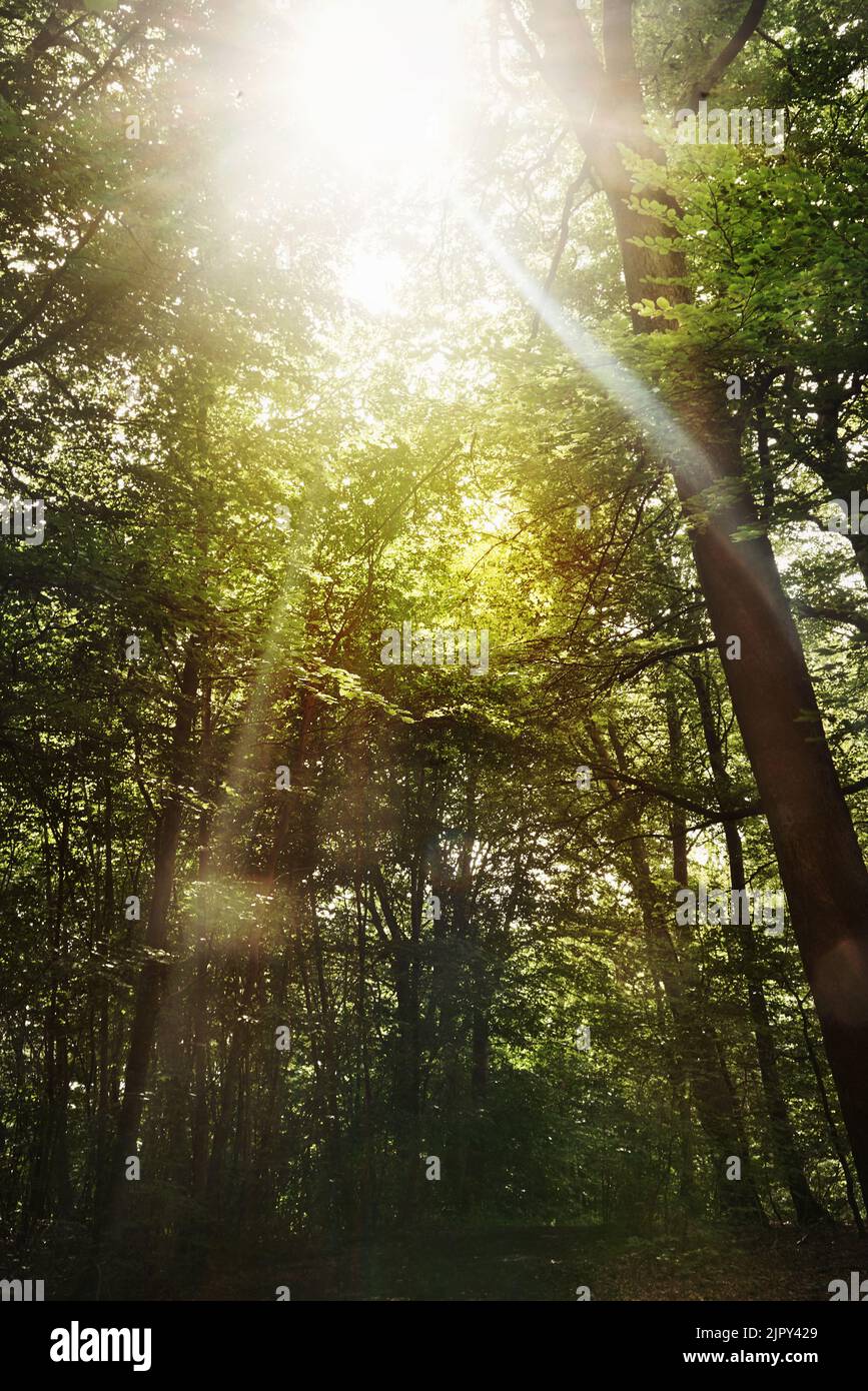 Beautiful sight scene hi-res stock photography and images - Alamy