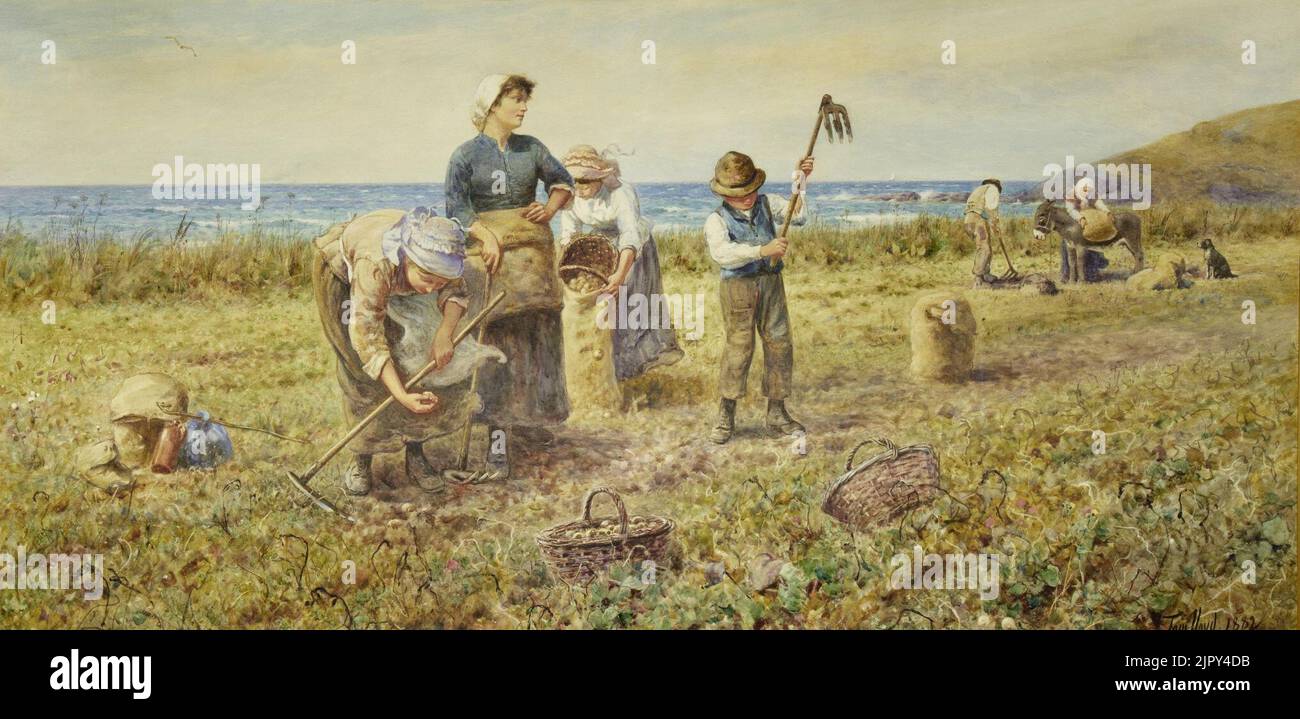 Thomas James Lloyd The potato harvest 1882 Stock Photo - Alamy