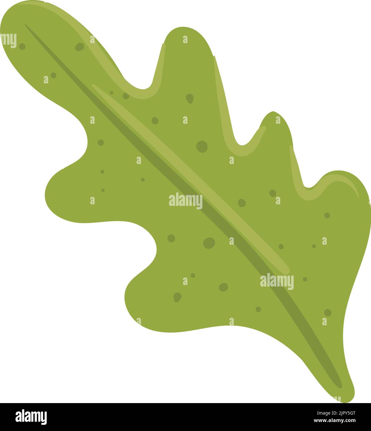 leaf coriander vegetable Stock Vector Image & Art - Alamy