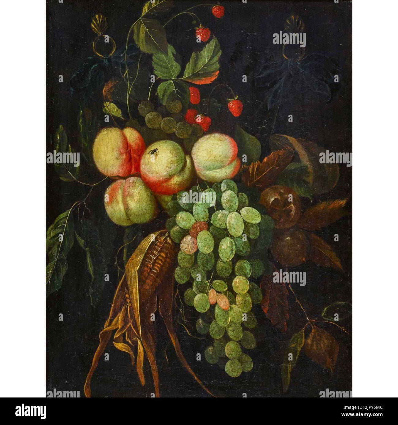 Thomas Mertens - Still life with peaches, grapes and corn cobs Stock ...