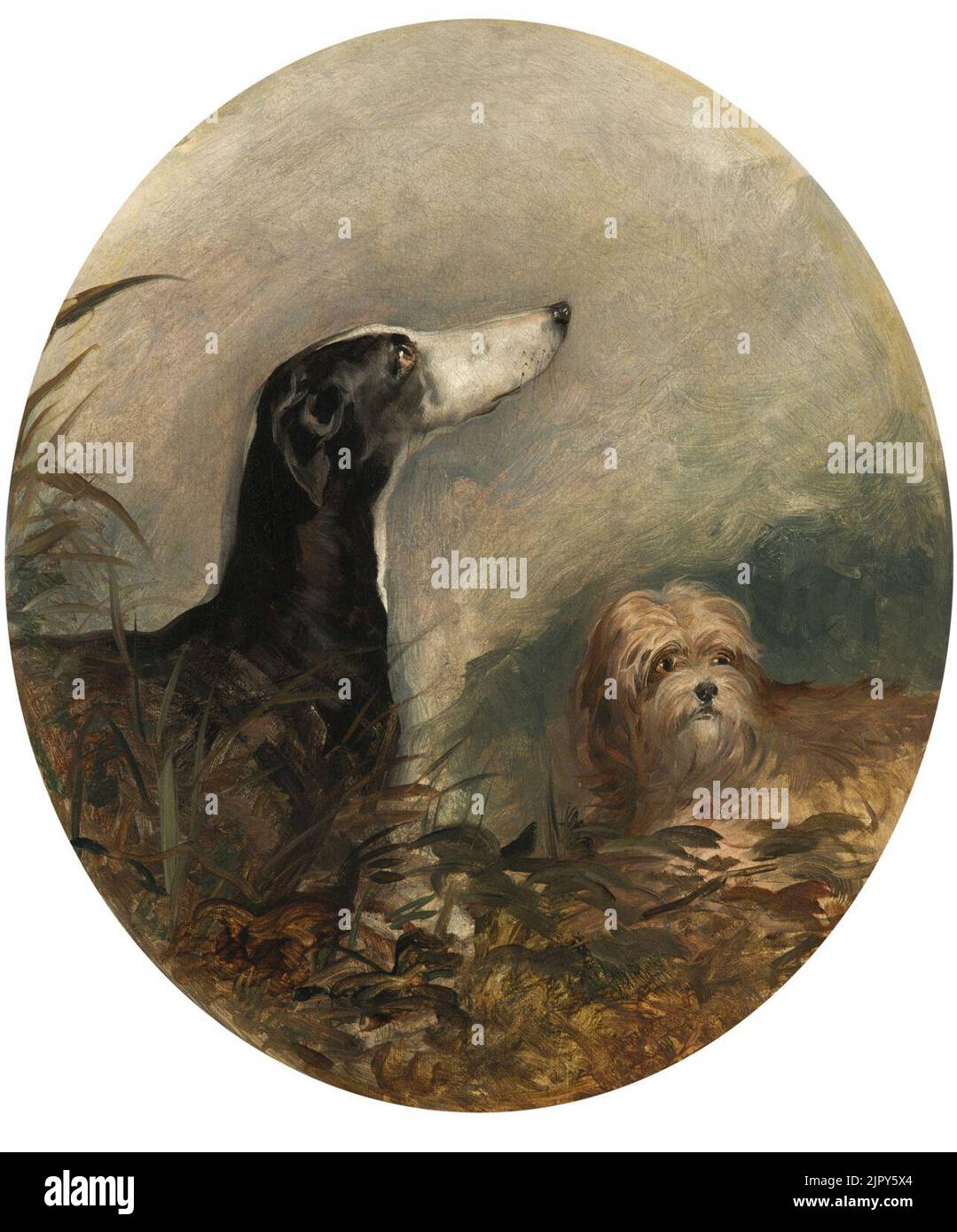 Cairnach Cut Out Stock Images & Pictures - Alamy