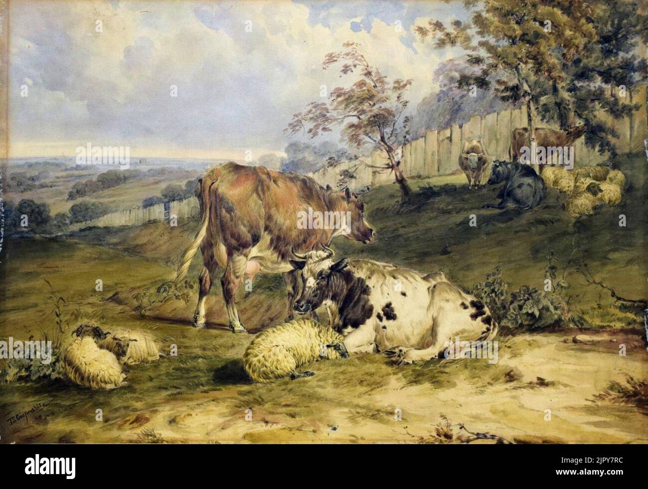 Thomas sydney hi-res stock photography and images - Alamy