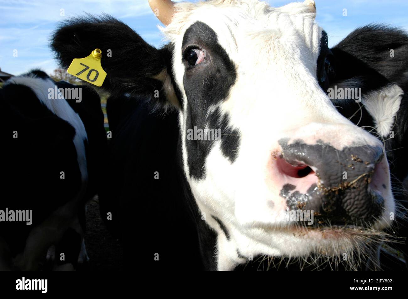 Kentucky and amish hi-res stock photography and images - Alamy