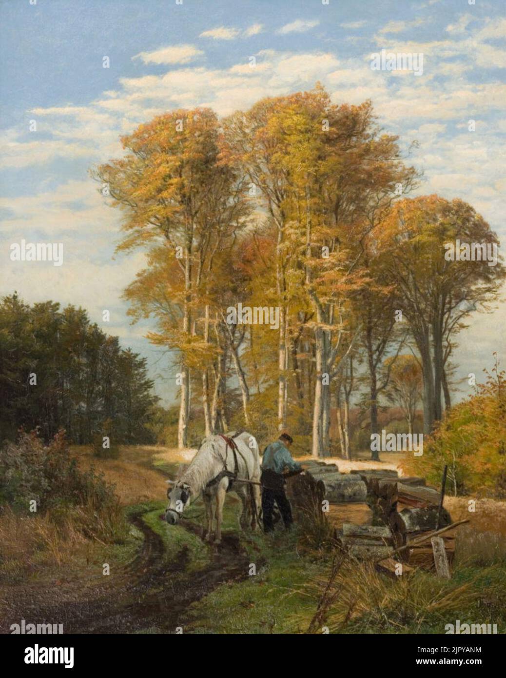 Niss thorvald hi-res stock photography and images - Alamy