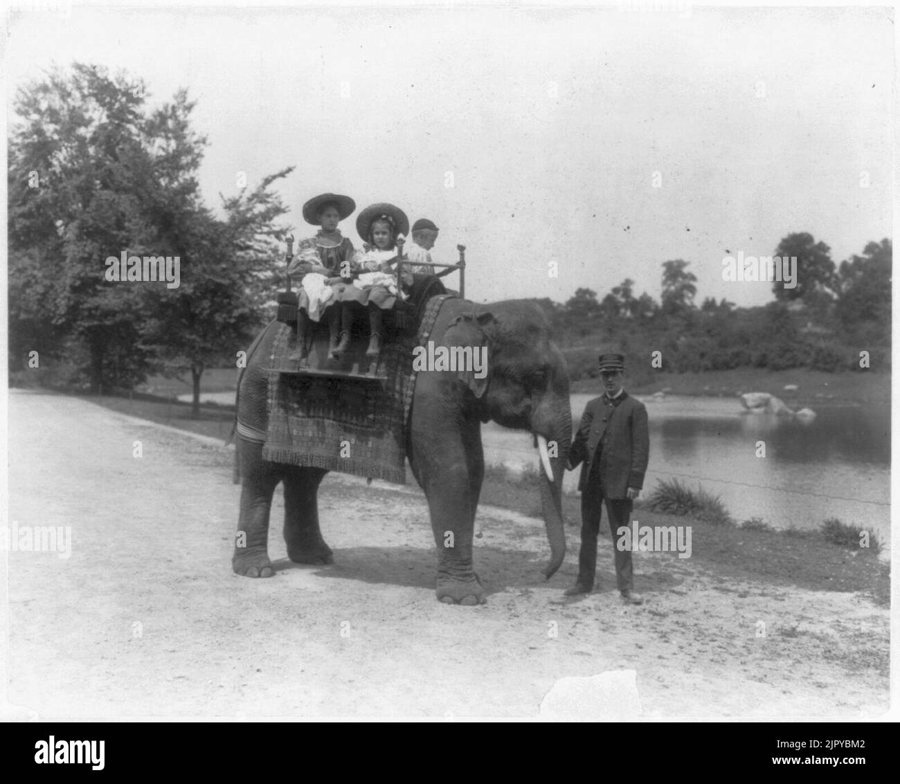 Three children riding an elephant at New York Zoological Park Stock ...