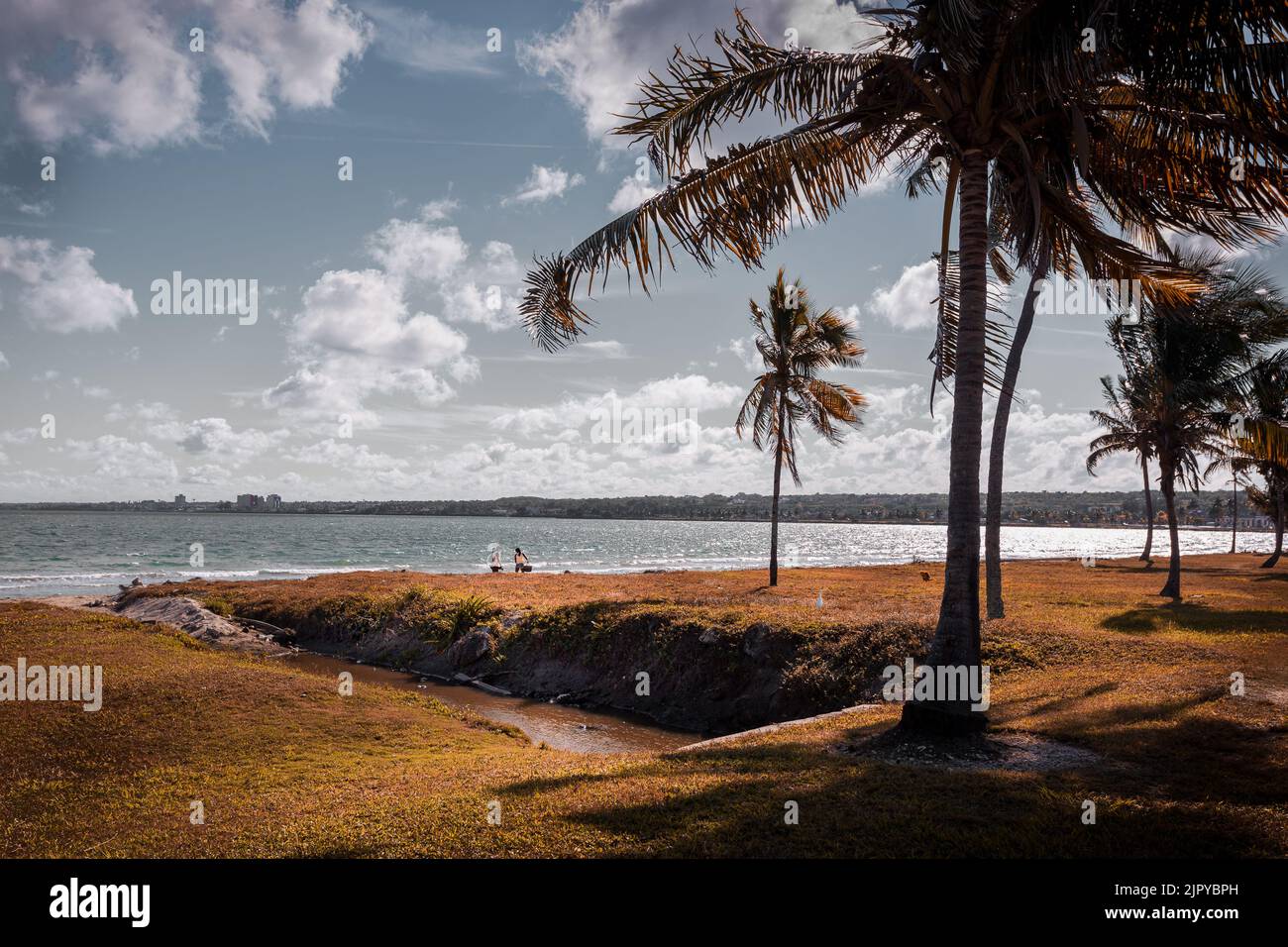 Scene of the beach in a shiny day with wind and clouds Stock Photo - Alamy