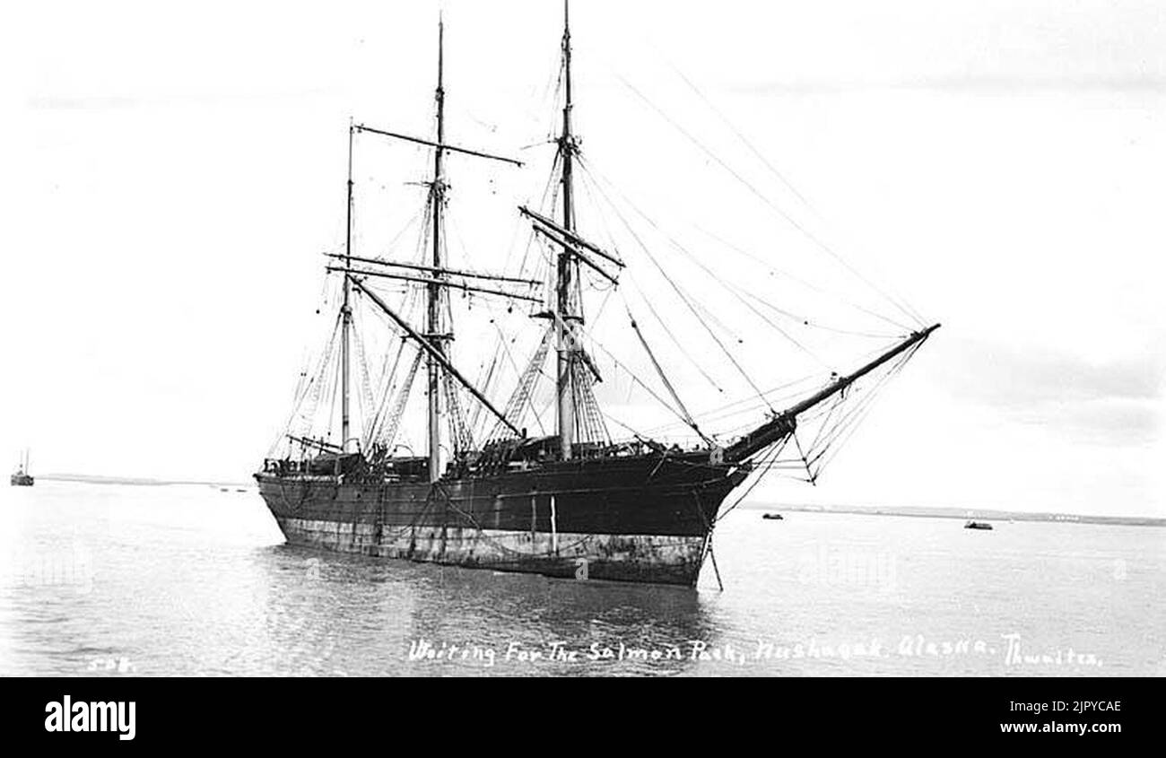 Three masted cannery ship, the iron bark STAR OF INDIA, anchored at ...