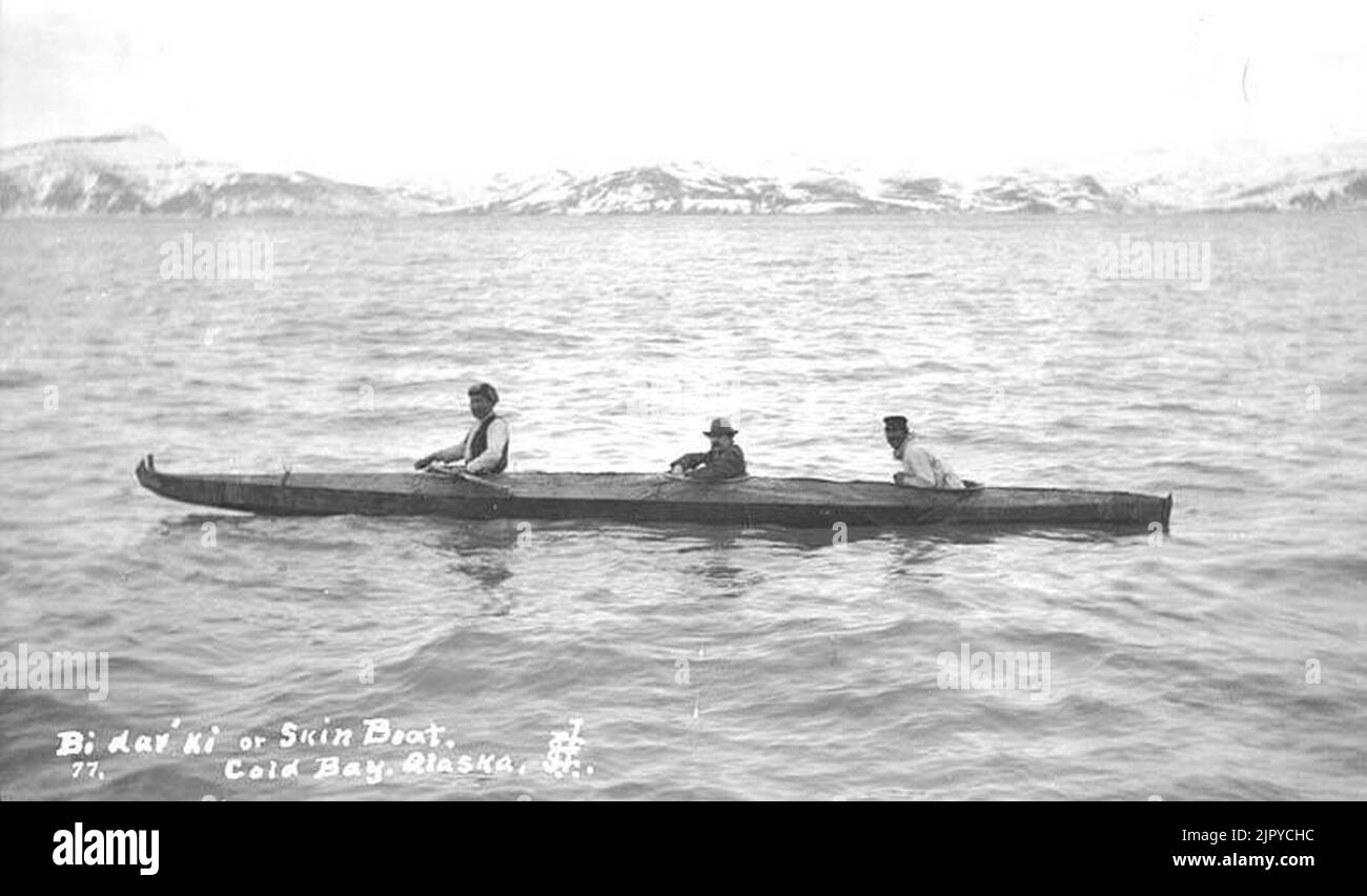 Three natives in a bidarki or skin covered boat on Cold Bay, ca 1912 ...