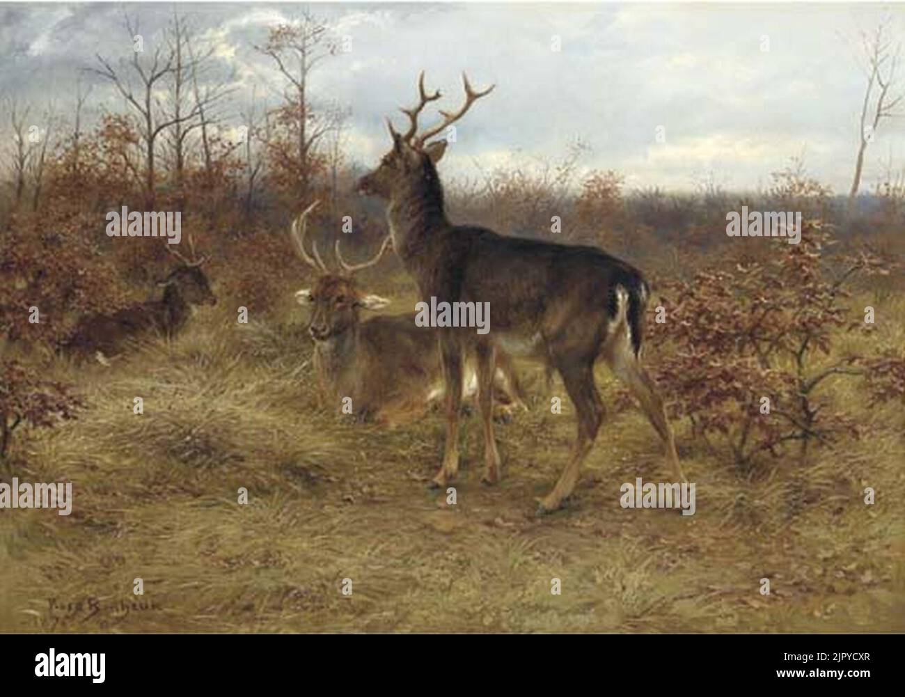 The three stags hi-res stock photography and images - Alamy