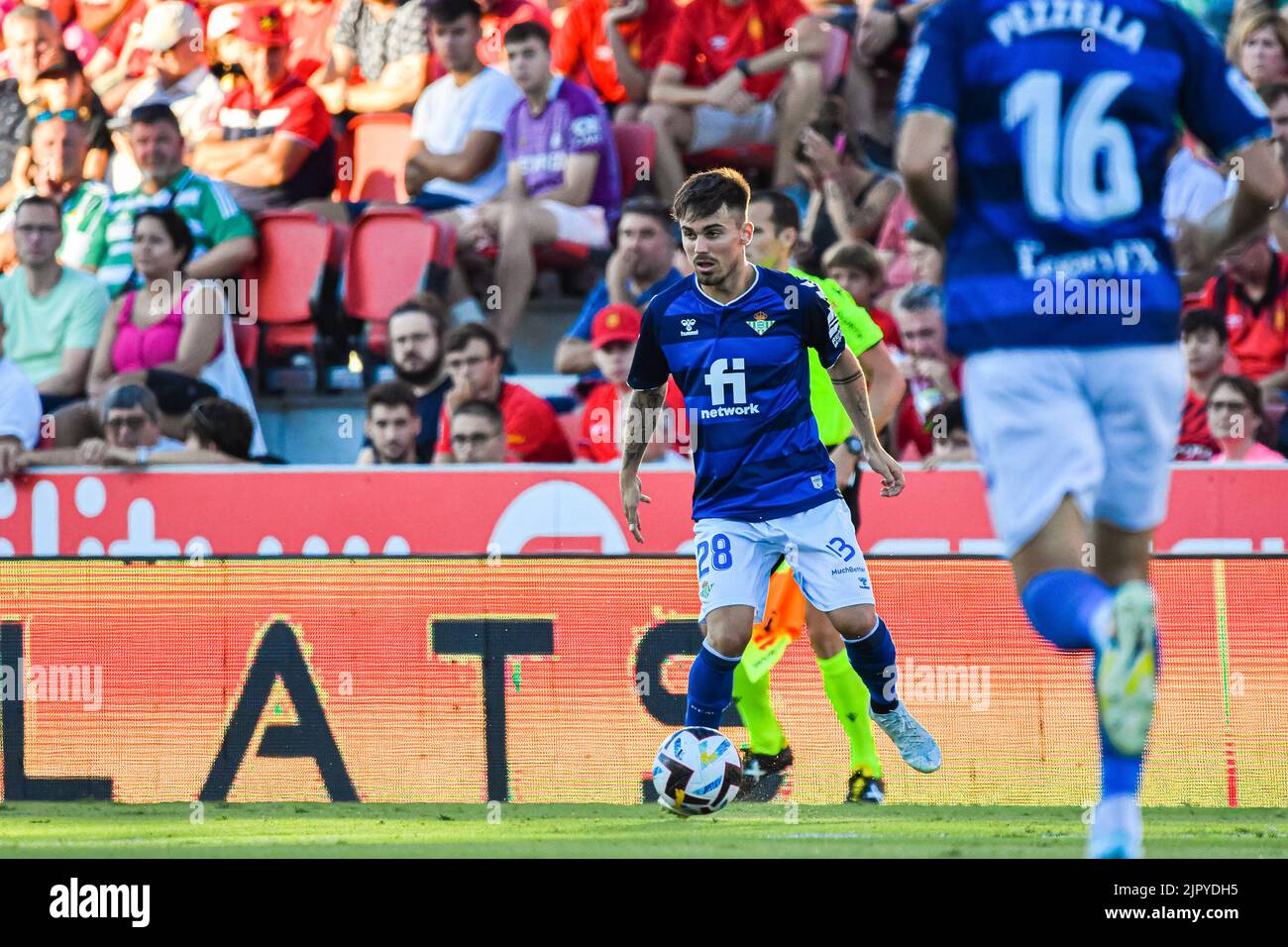 MALLORCA, SPAIN - AUGUST 20: Rodri Sanchez of Real Betis in the match ...