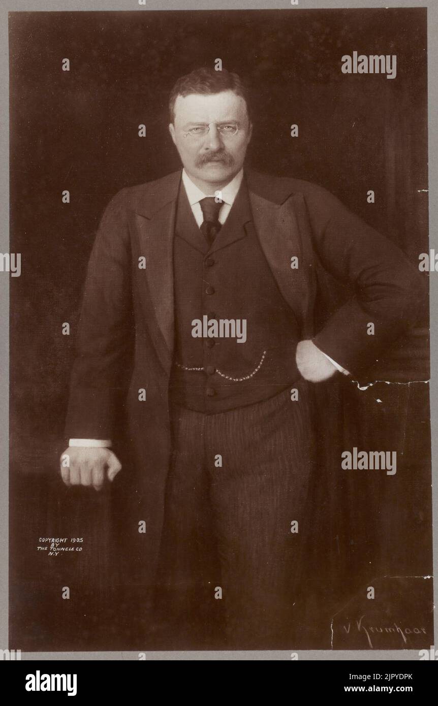 Three-fourth length portrait of Theodore Roosevelt in suit facing ...
