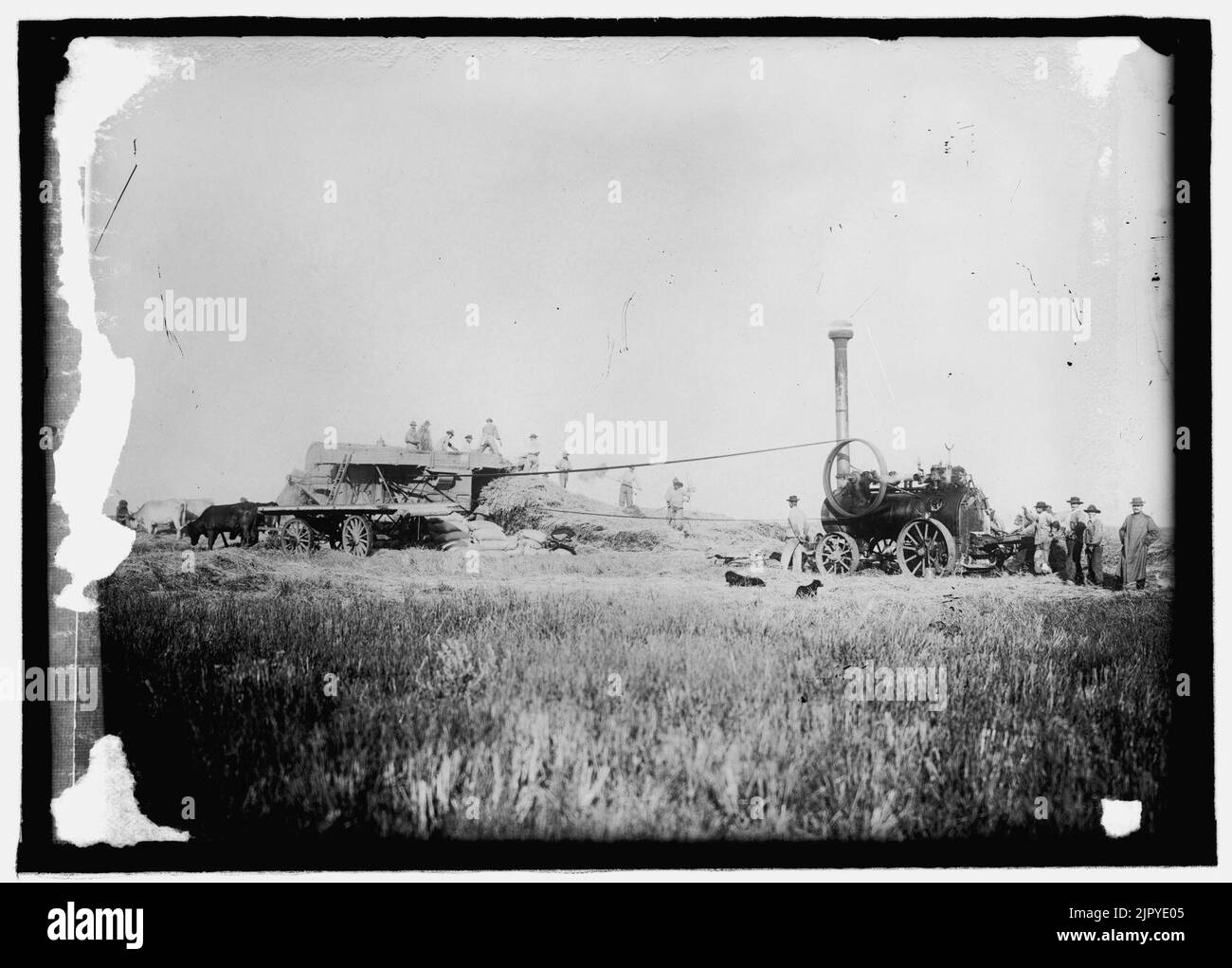 Threshing scene Black and White Stock Photos & Images - Alamy