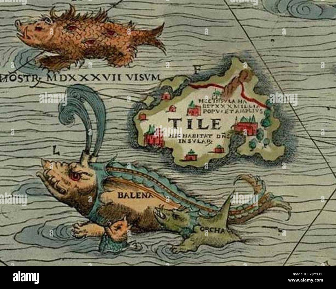 Olaus magnus carta marina hi-res stock photography and images - Alamy