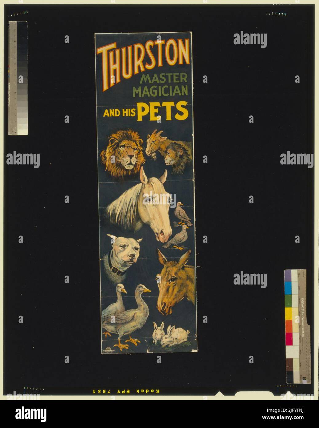 Master magician hi-res stock photography and images - Alamy