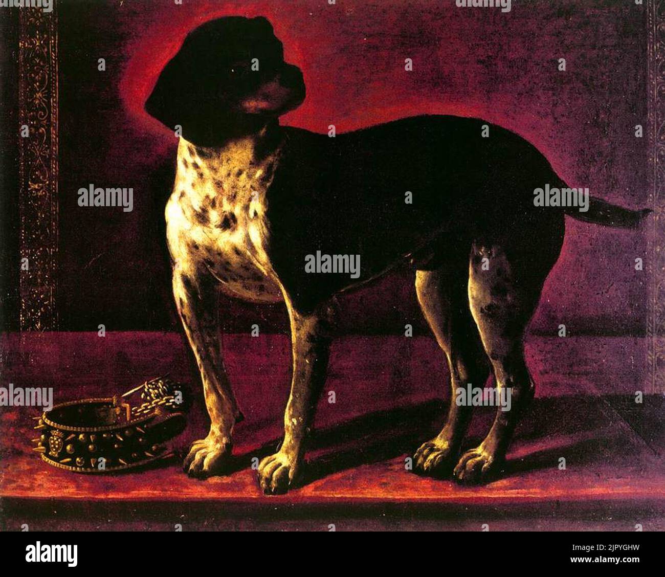 Tito with dog hi-res stock photography and images - Alamy