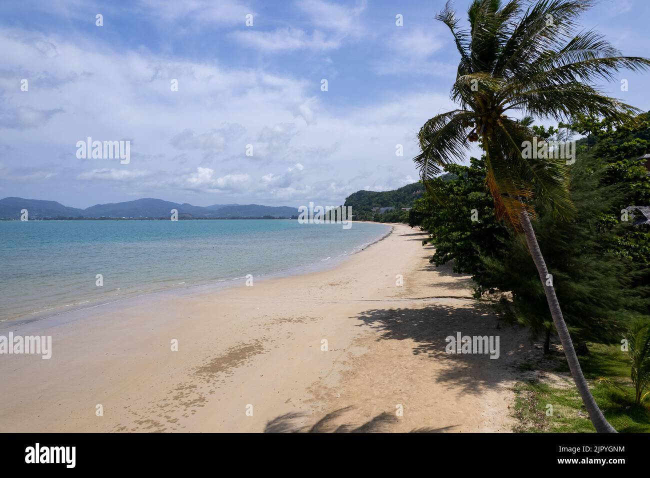 Phuket beach Summer beach with palms trees around in the beach Phuket ...