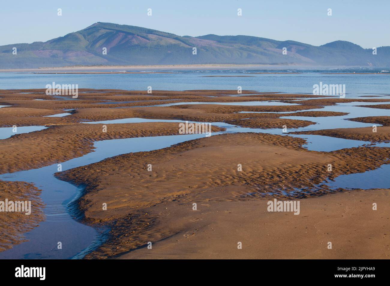 Netarts beach on the Oregon Coast at low tide Stock Photo - Alamy