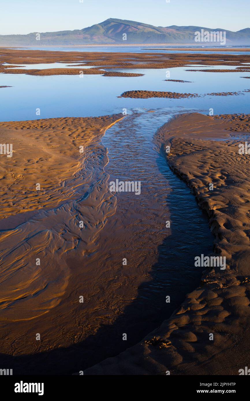Netarts beach on the Oregon Coast at low tide Stock Photo - Alamy