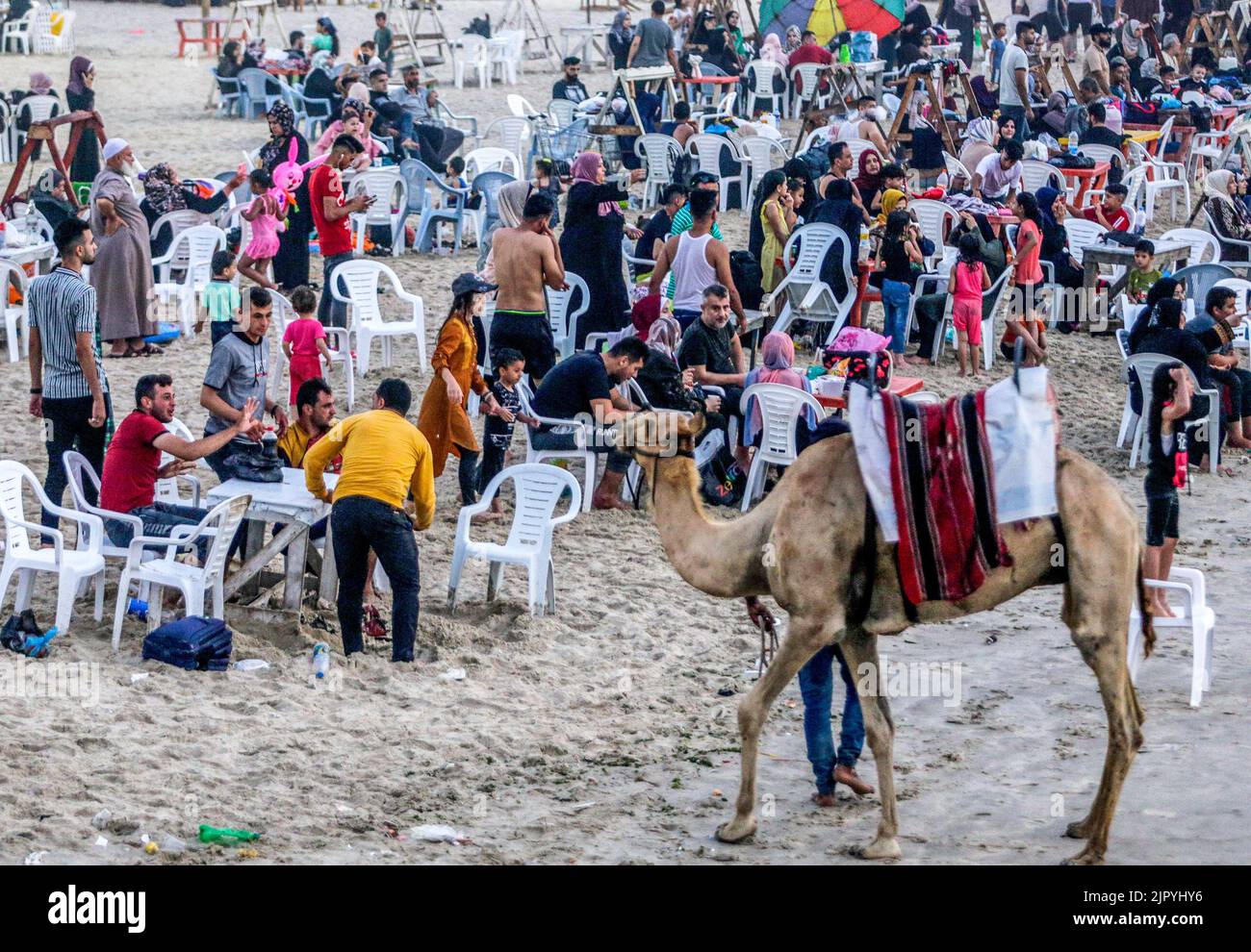 Gaza City, Palestine. 20th Aug, 2022. A Palestinian drags a camel on a ...