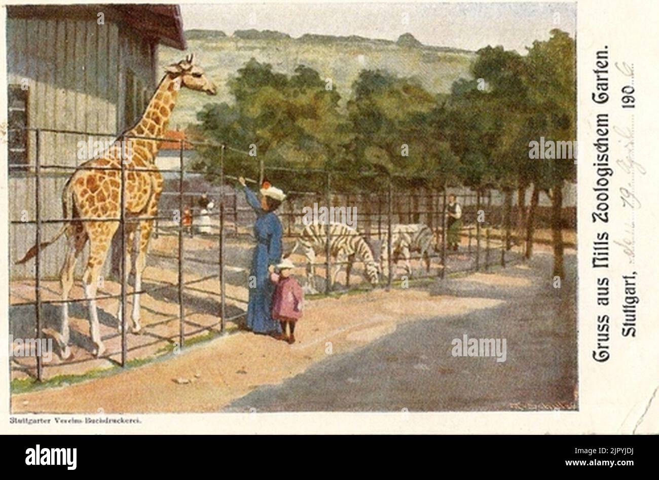 Tiergarten Nill, 004 Stock Photo - Alamy